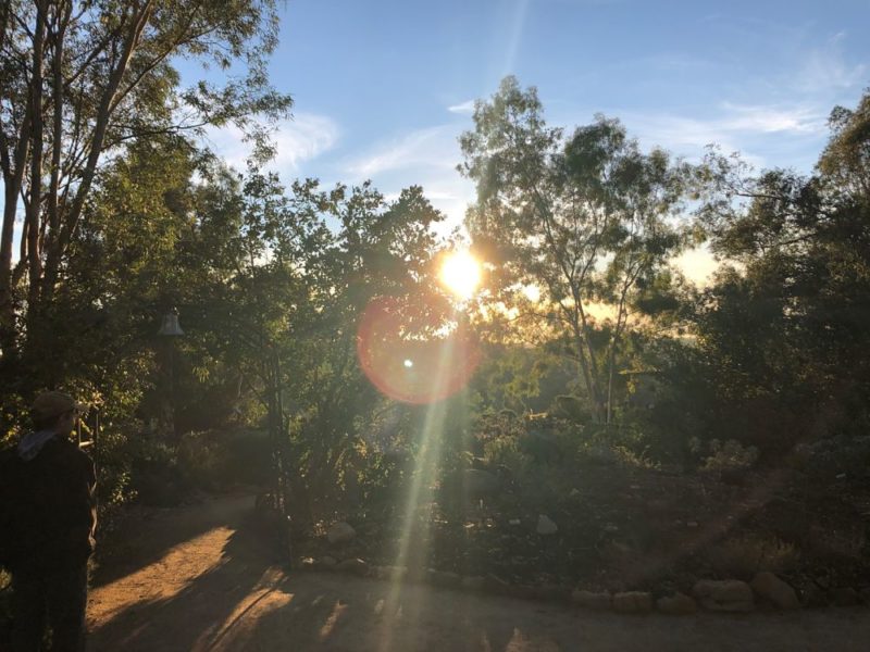 Sharing Our Light with You in 2021 - Love Healing and Miracles